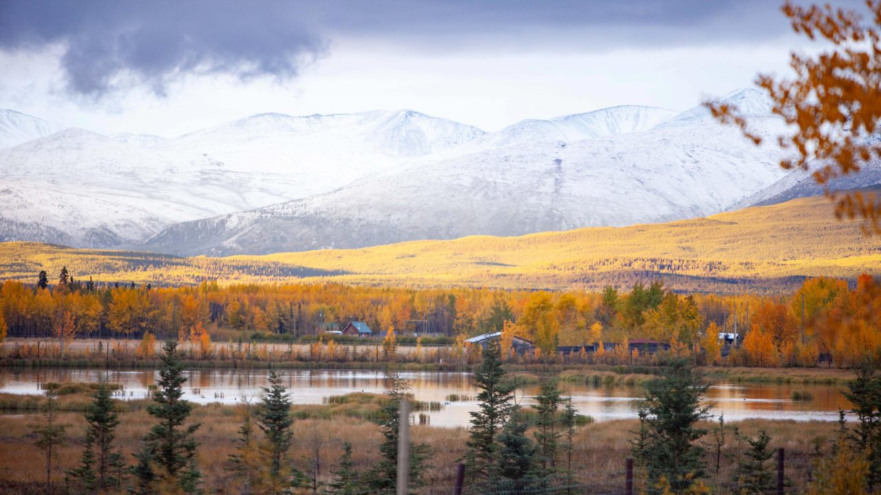 Fall In to Autumn - Yukon Wildlife Preserve