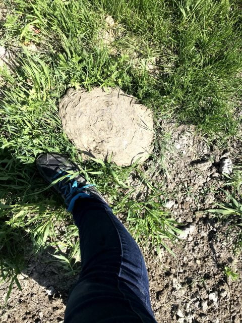 What's That Scat? - Yukon Wildlife Preserve